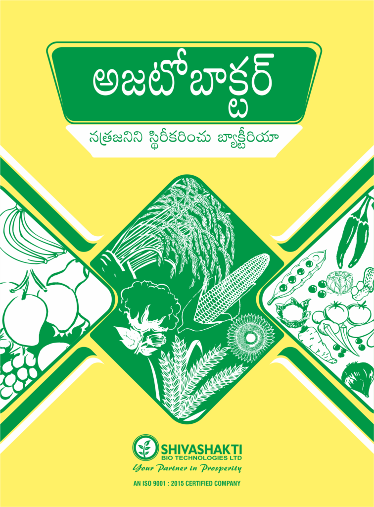 Bio Fertilizers – Shivashakti Agritec Limited